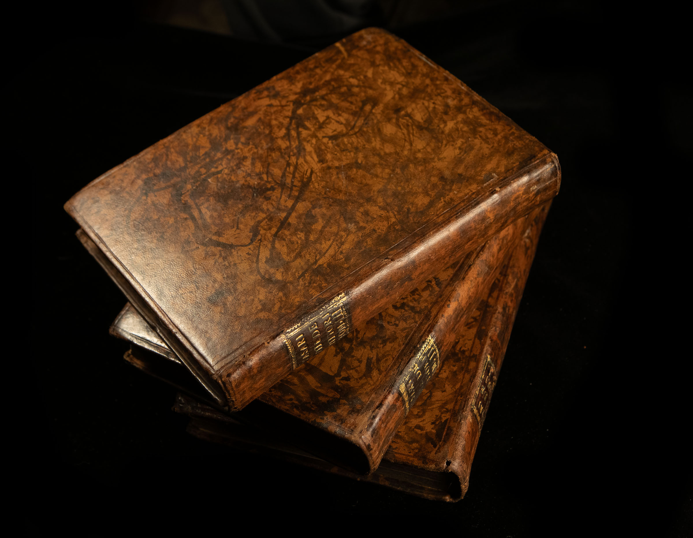Lux & Umbra : fine and rare books.